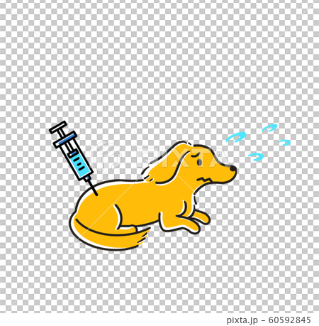 Ducks injection - Stock Illustration [60592845] - PIXTA