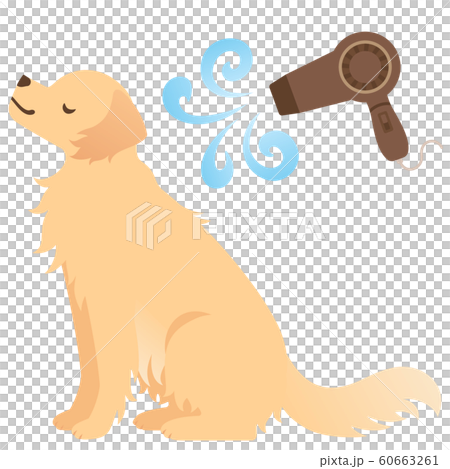 Illustration of a dog that can be drier - Stock Illustration [60663261 ...