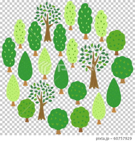 Various trees forest round - Stock Illustration [60757929] - PIXTA