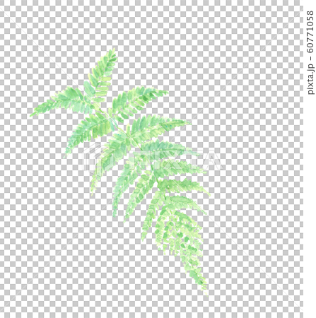 Urajiro back white watercolor material - Stock Illustration [60771058 ...