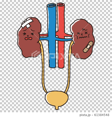 Causes Of Renal Failure Animated Images