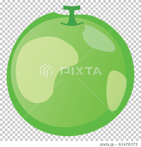 Illustration of one round green apple - Stock Illustration [61476373 ...