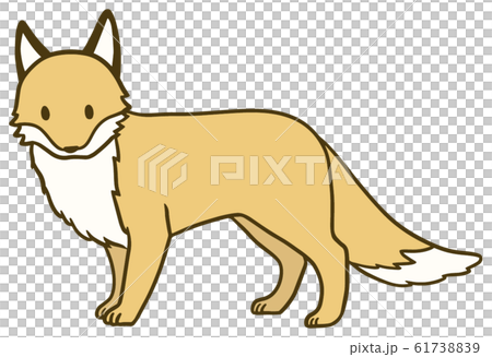 Illustration of a simple fox_14 - Stock Illustration [61738839] - PIXTA