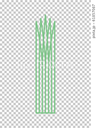 Chive line drawing - Stock Illustration [61857087] - PIXTA