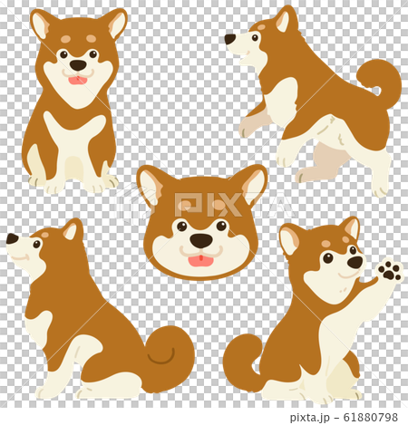 Shiba Inu in various poses Set No outline - Stock Illustration ...