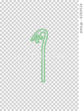Bracken line drawing - Stock Illustration [61924518] - PIXTA