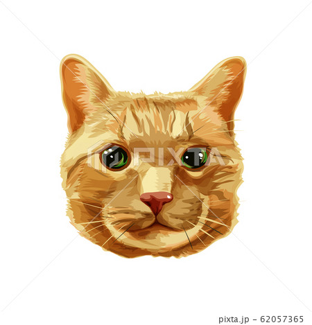 Red cat head vectorのイラスト素材 [62057365] - PIXTA