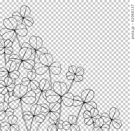 Clover line drawing - Stock Illustration [62068137] - PIXTA