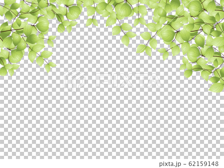 Frame green trees - Stock Illustration [62159148] - PIXTA