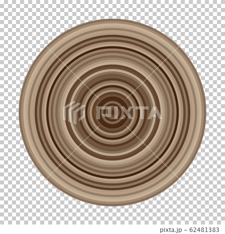 Concentric circle wood grain stump - Stock Illustration [62481383] - PIXTA