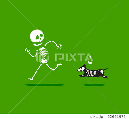A dog chasing a skeleton. Isolated Vectorのイラスト素材 [62661975] - PIXTA