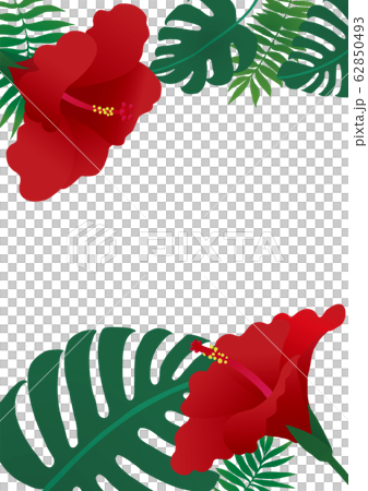 Hibiscus and plant background frame - Stock Illustration [62850493] - PIXTA
