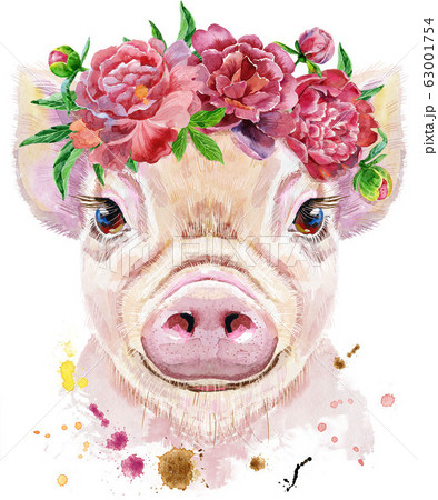 Watercolor portrait of mini pigのイラスト素材 [63001754] - PIXTA