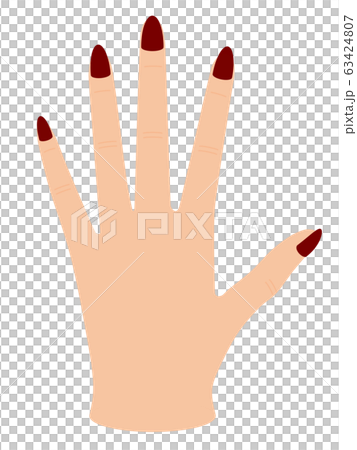 Manicure hands - Stock Illustration [63424807] - PIXTA