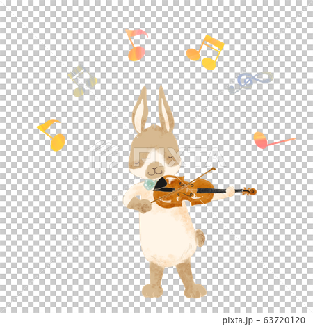 Rabbit violin playing animals - Stock Illustration [63720120] - PIXTA