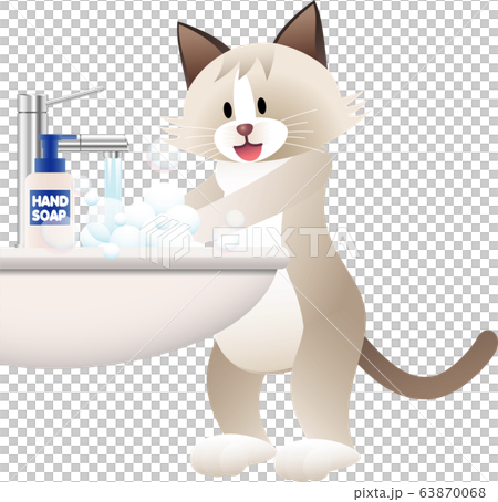 Cat hand washing - Stock Illustration [63870068] - PIXTA