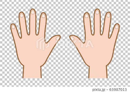 Vector illustration of the back of the hand... - Stock Illustration ...