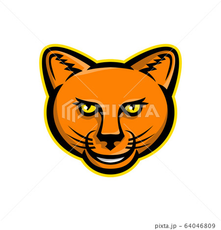 Smiling Puma Head Mascotのイラスト素材 [64046809] - PIXTA