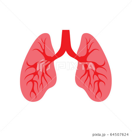 Human lung vector image template iconのイラスト素材 [64507624] - PIXTA