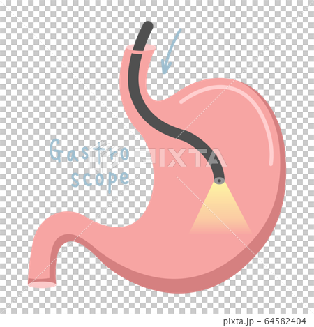 Illustration of stomach (stomach camera) - Stock Illustration [64582404 ...