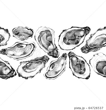 Seamless border with oystersのイラスト素材 [64726537] - PIXTA