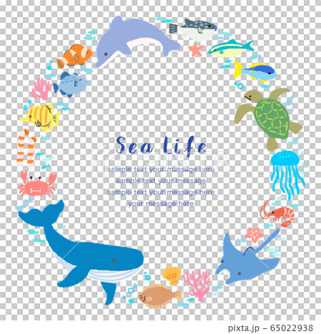 Sea creatures_frame - Stock Illustration [65022938] - PIXTA
