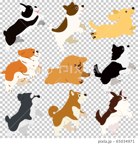 Various dog jump sets without main line - Stock Illustration [65034971 ...