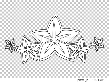 Tropical fruit star fruit line drawing - Stock Illustration [65043039 ...