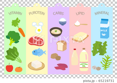 Vector illustration with color-coded text of... - Stock Illustration ...