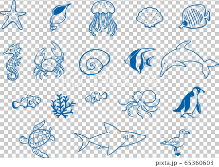Sea life line drawing illustration - Stock Illustration [65360603] - PIXTA