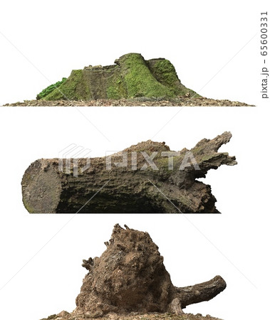 Stump dead tree isolated on white 3d illustrationのイラスト素材 [65600331] - PIXTA
