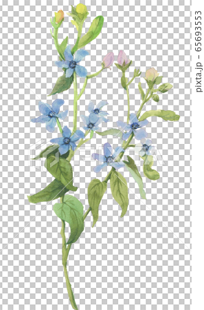 Blue star watercolor illustration hand drawing... - Stock Illustration ...