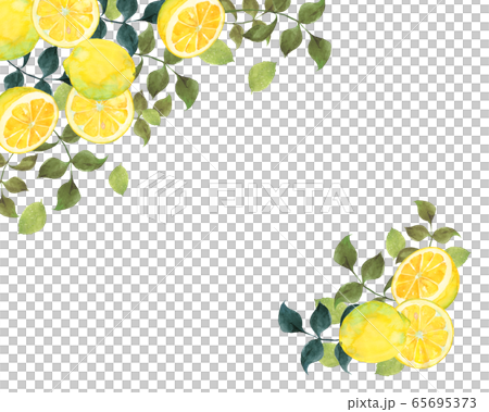 Lemon frame - Stock Illustration [65695373] - PIXTA