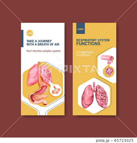 Respiratory flyer design with Human Anatomy ofのイラスト素材 [65723025] - PIXTA