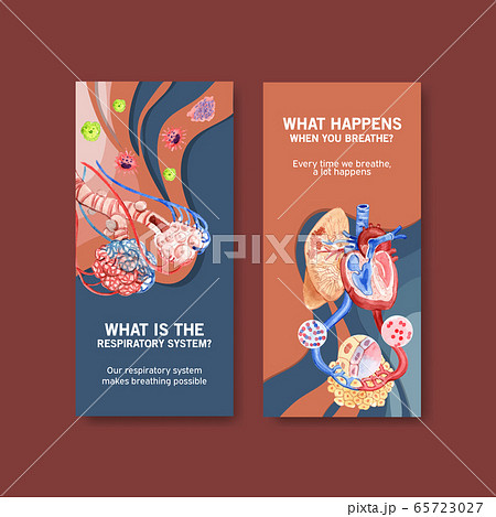 Respiratory flyer design with Human Anatomy ofのイラスト素材 [65723027] - PIXTA