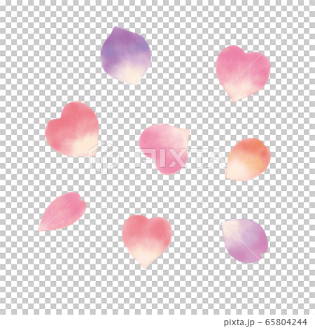 Petal material collection - Stock Illustration [65804244] - PIXTA