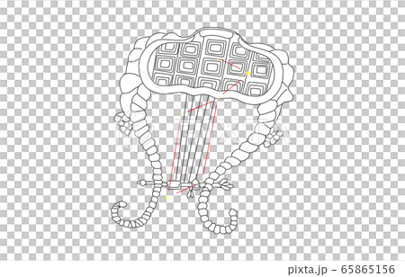 88 constellation Scorpio - Stock Illustration [65865156] - PIXTA