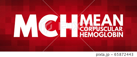MCH - Mean Corpuscular Hemoglobin acronymのイラスト素材 [65872443] - PIXTA