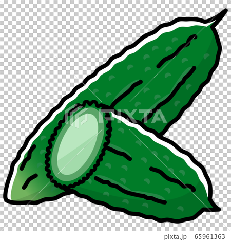 Cut bitter gourd cartoon - Stock Illustration [65961363] - PIXTA