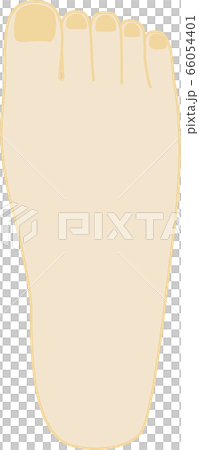 Foot illustration - Stock Illustration [66054401] - PIXTA