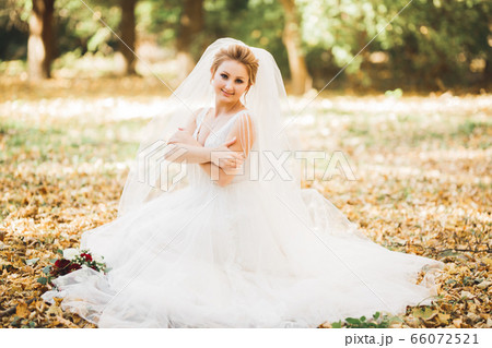 Portrait of stunning bride with long hair...の写真素材 [66072521] - PIXTA