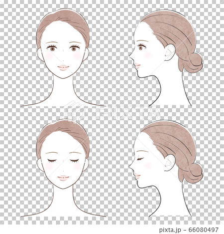 Female, front, side profile - Stock Illustration [66080497] - PIXTA