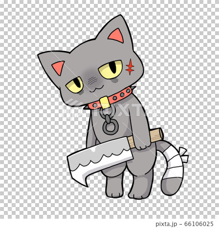 Kuma cat - Stock Illustration [66106025] - PIXTA