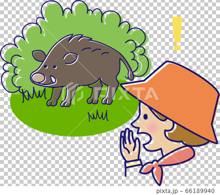 Surprised woman encountering wild boar - Stock Illustration [66189940 ...