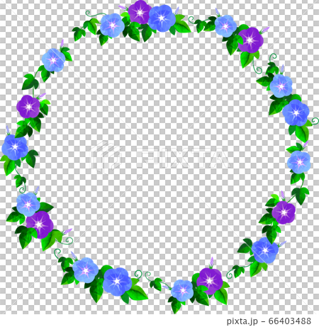 Frame-Asagao-Frame-Lease-Yen - Stock Illustration [66403488] - PIXTA