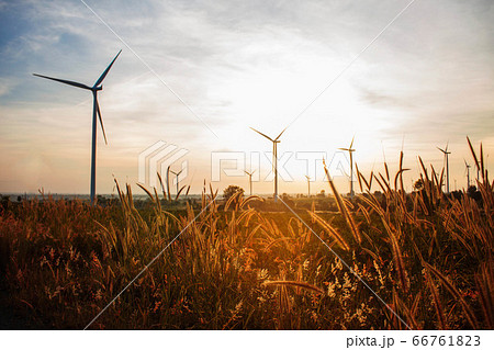 Grass in wind turbine farm.の写真素材 [66761823] - PIXTA