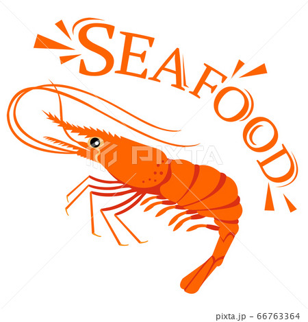 Shrimp cartoon with text for seafood conceptのイラスト素材 [66763364] - PIXTA