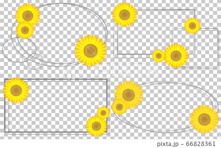 Horizontal sunflower frame 4 types (gray) - Stock Illustration ...