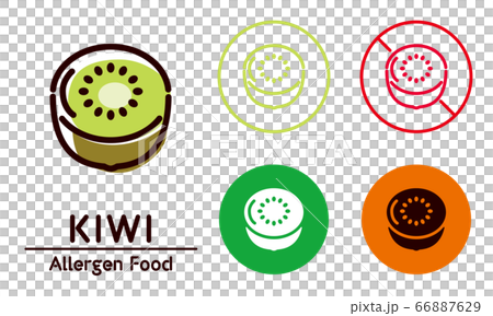 Kiwi icon / food allergy, allergenのイラスト素材 [66887629] - PIXTA