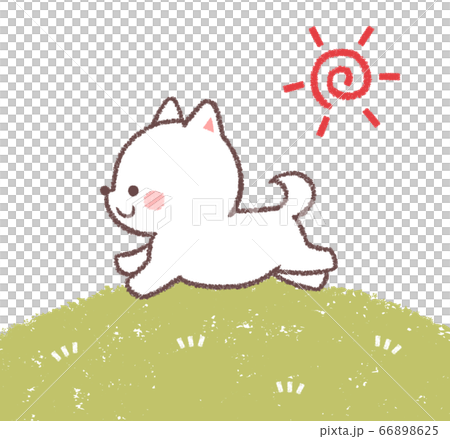 Shiro Shiba Inu run - Stock Illustration [66898625] - PIXTA
